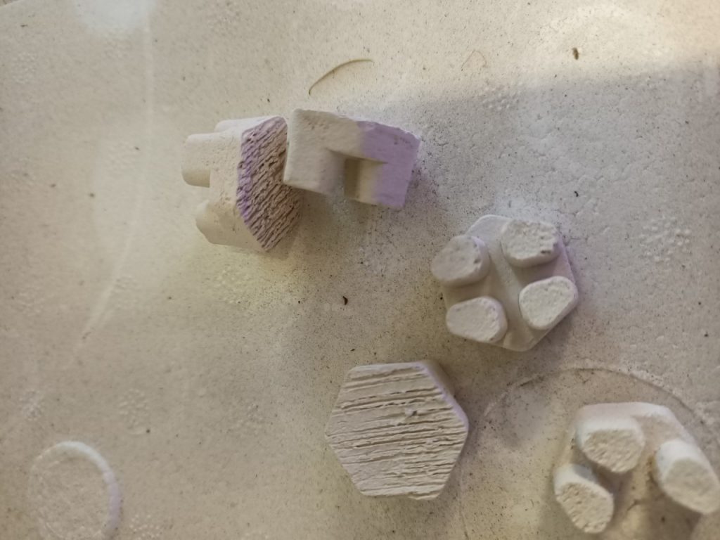 Coral Plugs | Coral & Fish Barn